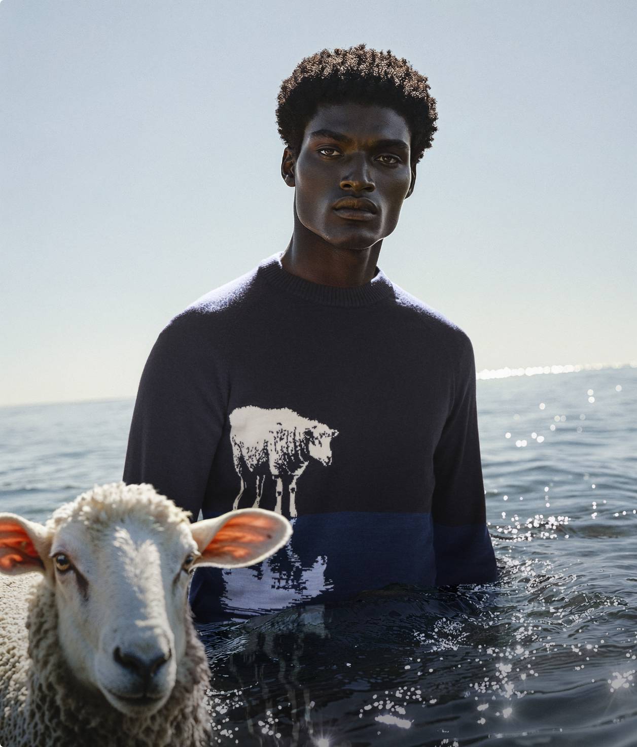 Sheep Inc. - Masters of Merino Wool Knitwear